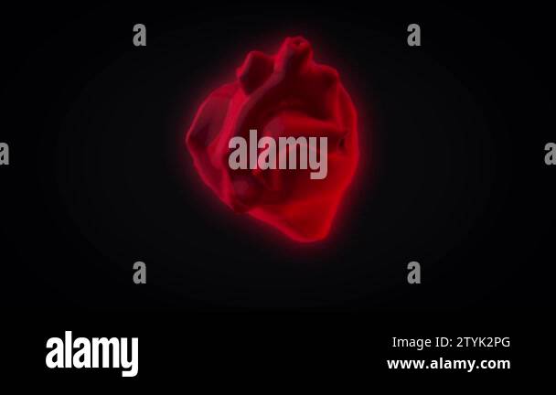 Real biology human heart Stock Videos & Footage - HD and 4K Video Clips ...