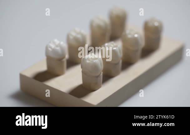 Teeth models Stock Videos & Footage - HD and 4K Video Clips - Alamy