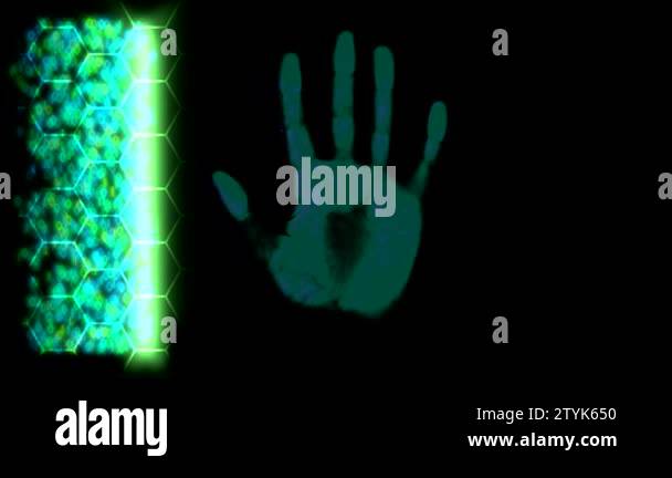 Fake id bar Stock Videos & Footage - HD and 4K Video Clips - Alamy