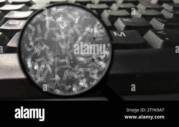 Keyboard bacteria Stock Videos & Footage - HD and 4K Video Clips - Alamy