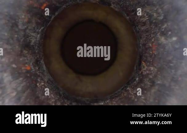 Texture perspective cut Stock Videos & Footage - HD and 4K Video Clips ...