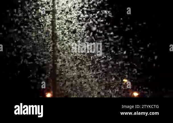 Ephemera hainanensis - mayfly or also known as fishflies, shadflies or ...