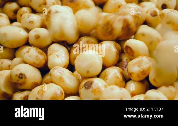 Peeled potatoes falling into a storing container in a food facility ...