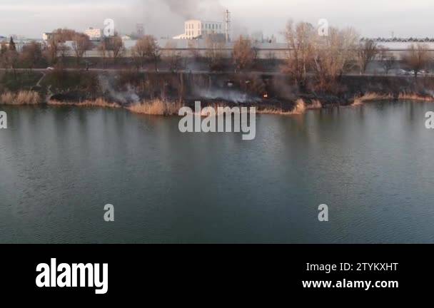 Epic aerial view of smoking wild fire. Large smoke clouds and fire ...