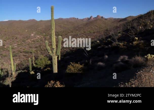 Desert arizona Stock Videos & Footage - HD and 4K Video Clips - Alamy