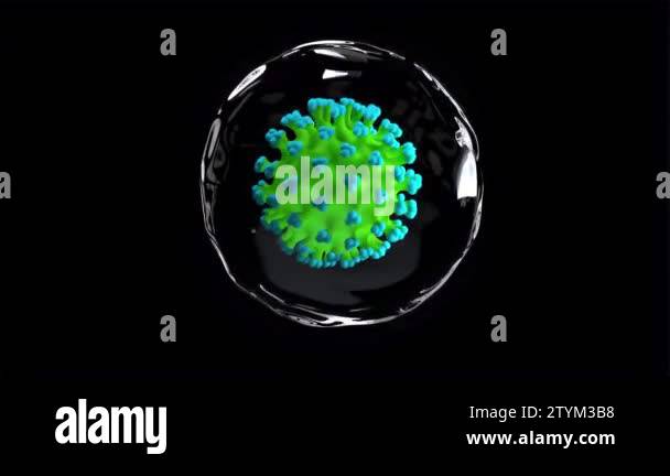 Morbilli animation Stock Videos & Footage - HD and 4K Video Clips - Alamy