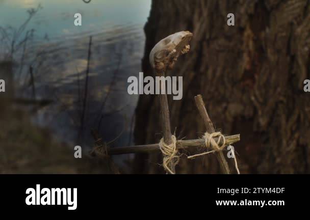 Creepy ritual Stock Videos & Footage - HD and 4K Video Clips - Alamy