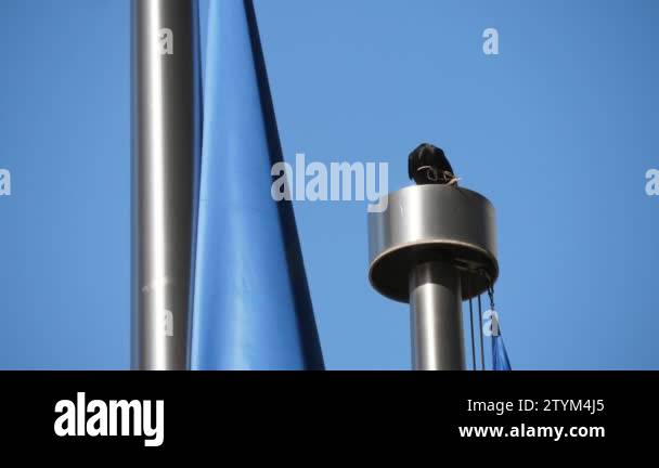 Flagpole sitting Stock Videos & Footage - HD and 4K Video Clips - Alamy