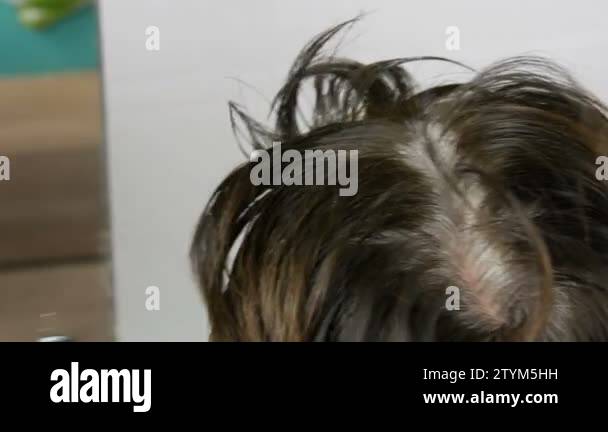 The overgrown gray roots of a middle-aged woman who colouring her hair ...