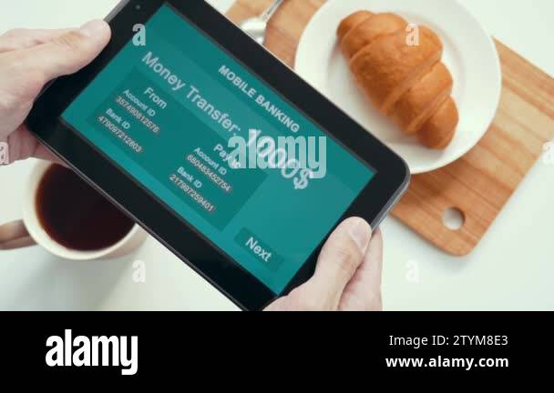 A successful person makes a money transfer through a mobile bank ...