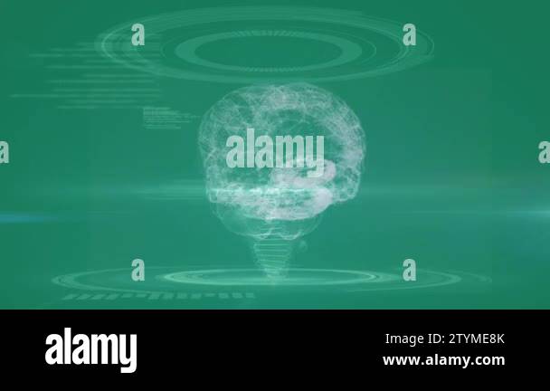 Head popping up Stock Videos & Footage - HD and 4K Video Clips - Alamy