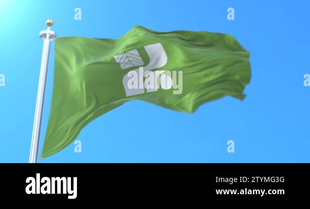 Tochigi flag Stock Videos & Footage - HD and 4K Video Clips - Alamy