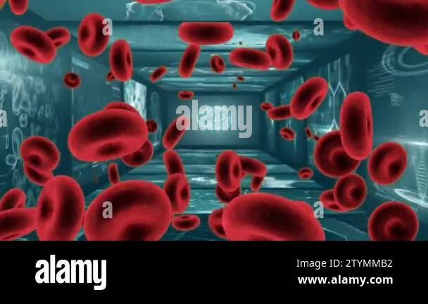 Animation of 3d macro red blood cells floating over screens of medical ...