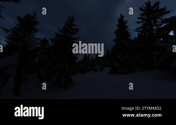 Twilight and night in a snowy forest. Timelapse Stock Video Footage - Alamy