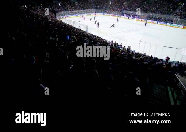 Ice hockey fight fighting Stock Videos & Footage - HD and 4K Video ...