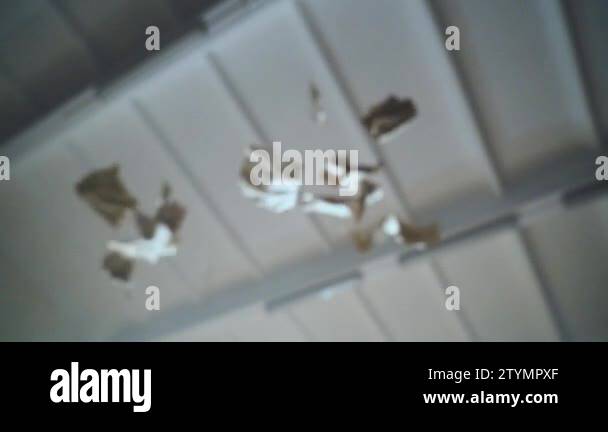 Blank paper sheet falling down Stock Videos & Footage - HD and 4K Video ...