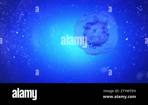 Animation cell Stock Videos & Footage - HD and 4K Video Clips - Alamy