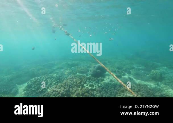 Underwater rope Stock Videos & Footage - HD and 4K Video Clips - Alamy
