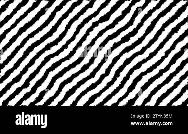 Moving zebra print 4k animation. Decoration monochrome diagonal lines ...