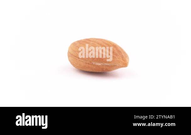 Kernel one Stock Videos & Footage - HD and 4K Video Clips - Alamy