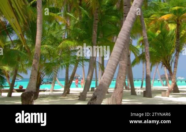 Two fit guys male friends walking under green tropical palm trees in ...