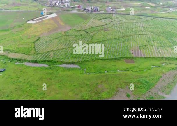 Aerial view, green rice and vegetable fields in poor village in China ...