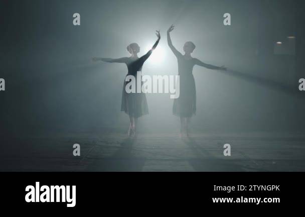 Two graceful professional ballerinas dancing elements of classical ...