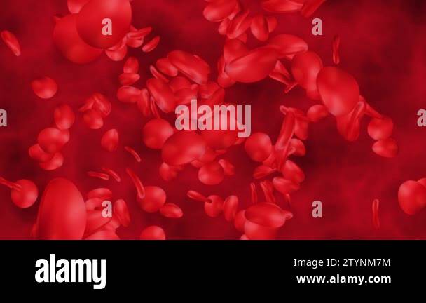 Red blood cells in vein 3D animation. Blood cells in an artery, flow ...