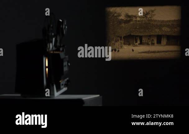 Showing farm animals Stock Videos & Footage - HD and 4K Video Clips - Alamy