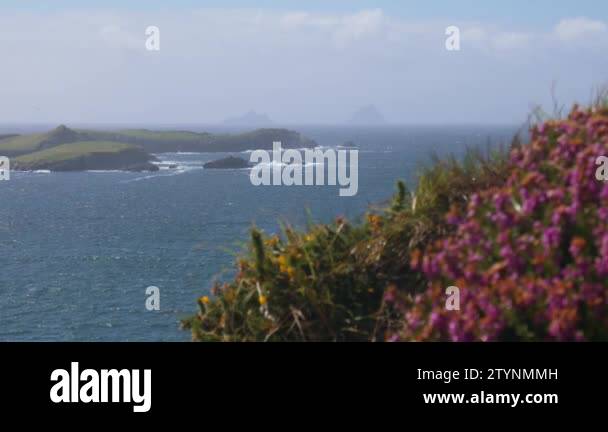 Skellig michael island seen Stock Videos & Footage - HD and 4K Video ...