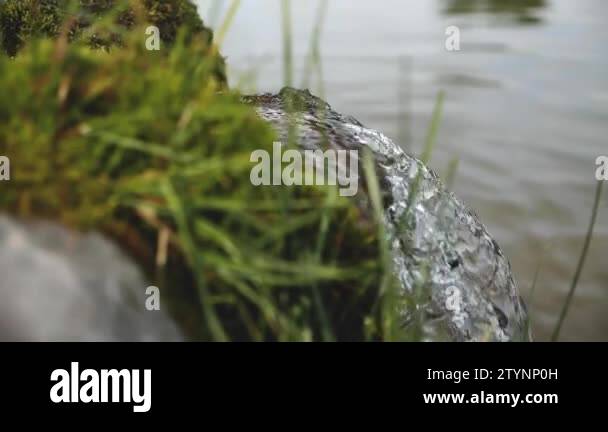 Beautiful little waterfall Stock Videos & Footage - HD and 4K Video ...