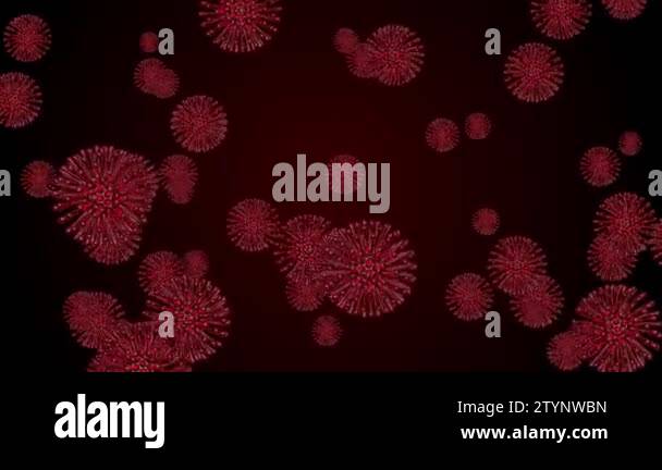 Cloning of Bacteria, beautiful 3d animation with a depth of field ...