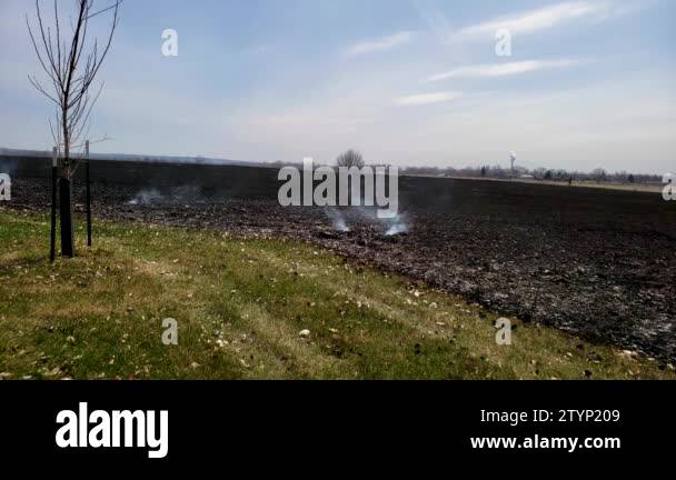 Prairie fire green Stock Videos & Footage - HD and 4K Video Clips - Alamy