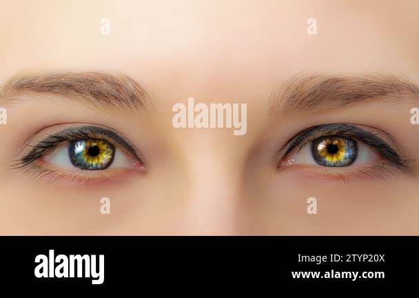 Creative 4k video of a female face with beautiful multi-colored eyes ...