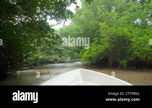 Nose root Stock Videos & Footage - HD and 4K Video Clips - Alamy