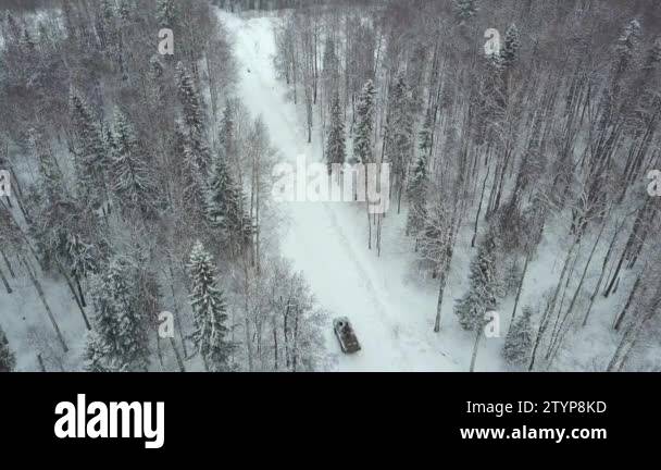 Military APC in the woods during military exercises. Clip. Top view of ...