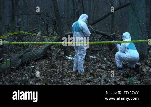 Forensic science experts collecting evidence at crime scene ...
