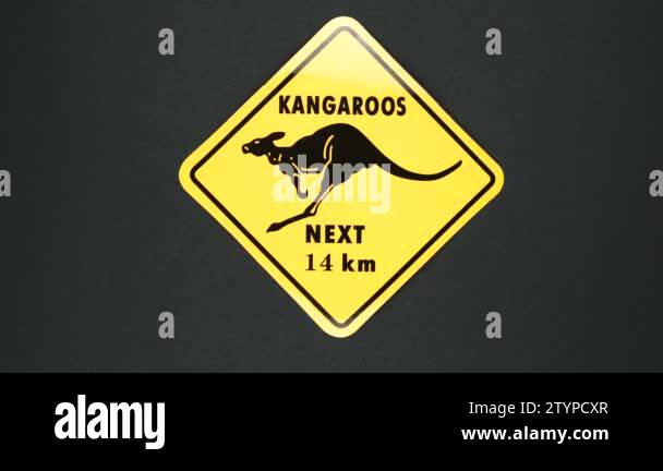 Kangaroos warning sign Stock Videos & Footage - HD and 4K Video Clips ...