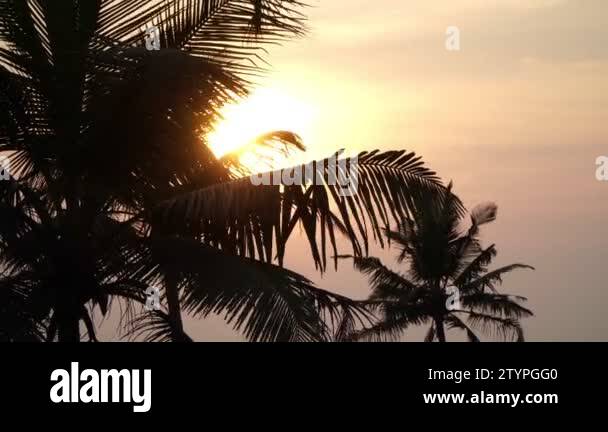 Rays silhouette Stock Videos & Footage - HD and 4K Video Clips - Alamy