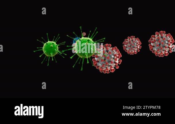 Medical illustration 2d, 3d animation background of cells, bacteria ...