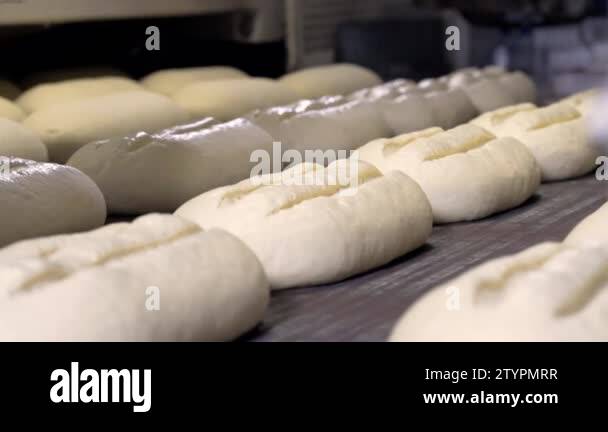 Making a loaf of bread in the bakery. Loaf of bread on the production ...