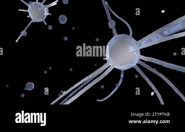 Neuron. Nerve cell. Growing Neural Network. Abstract neural cells in ...
