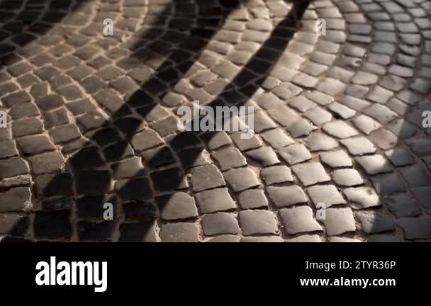Exotic dancing Stock Videos & Footage - HD and 4K Video Clips - Alamy