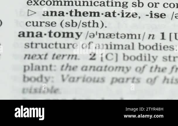 Living anatomy Stock Videos & Footage - HD and 4K Video Clips - Alamy
