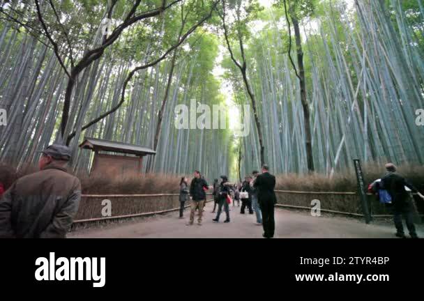 Bamboo grove in arashiyama Stock Videos & Footage - HD and 4K Video ...