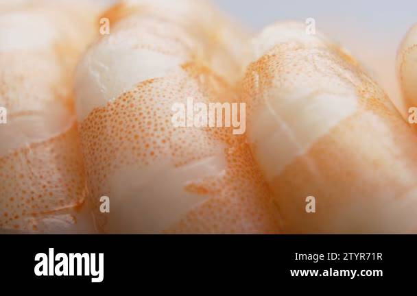 Close look of dotted segments of Prawn Abdomen. Shrimp food Background ...