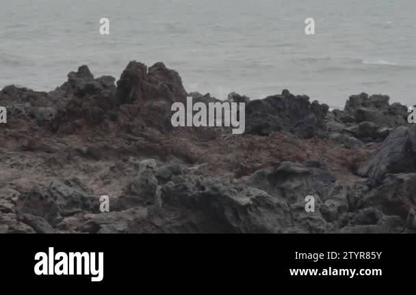 Sharp rocks at sea Stock Videos & Footage - HD and 4K Video Clips - Alamy