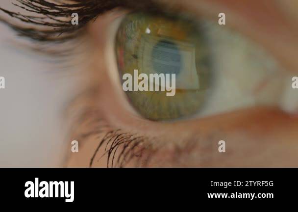 MACRO CLOSE UP Eye movement when reading text on computer screen with ...