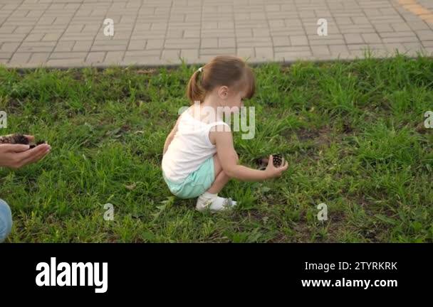 Mother shows her child pinecones. little daughter and mother play in ...
