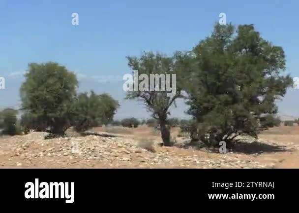 Arid land mountains in Stock Videos & Footage - HD and 4K Video Clips ...